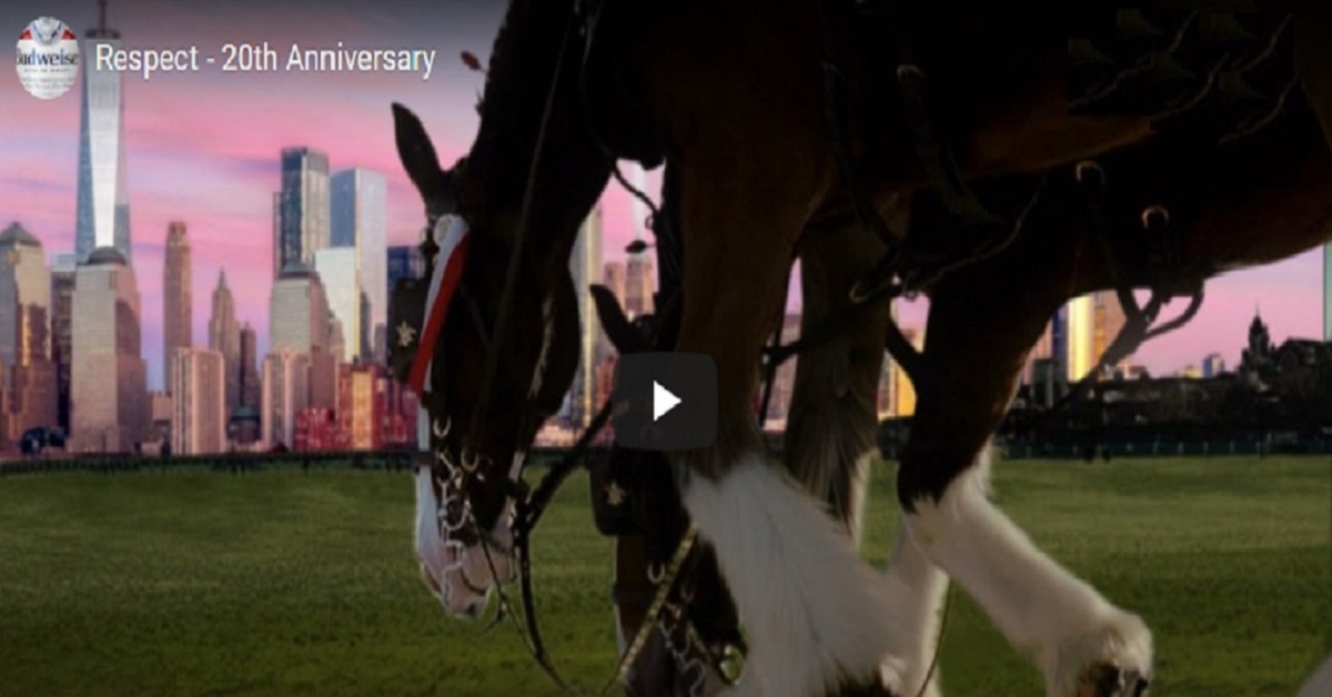 Budweiser Releases Updated “Respect” Commercial In Remembrance of 9/11 ...